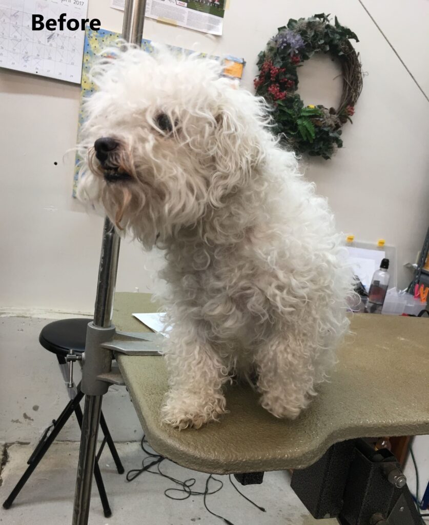 Custom and Certified