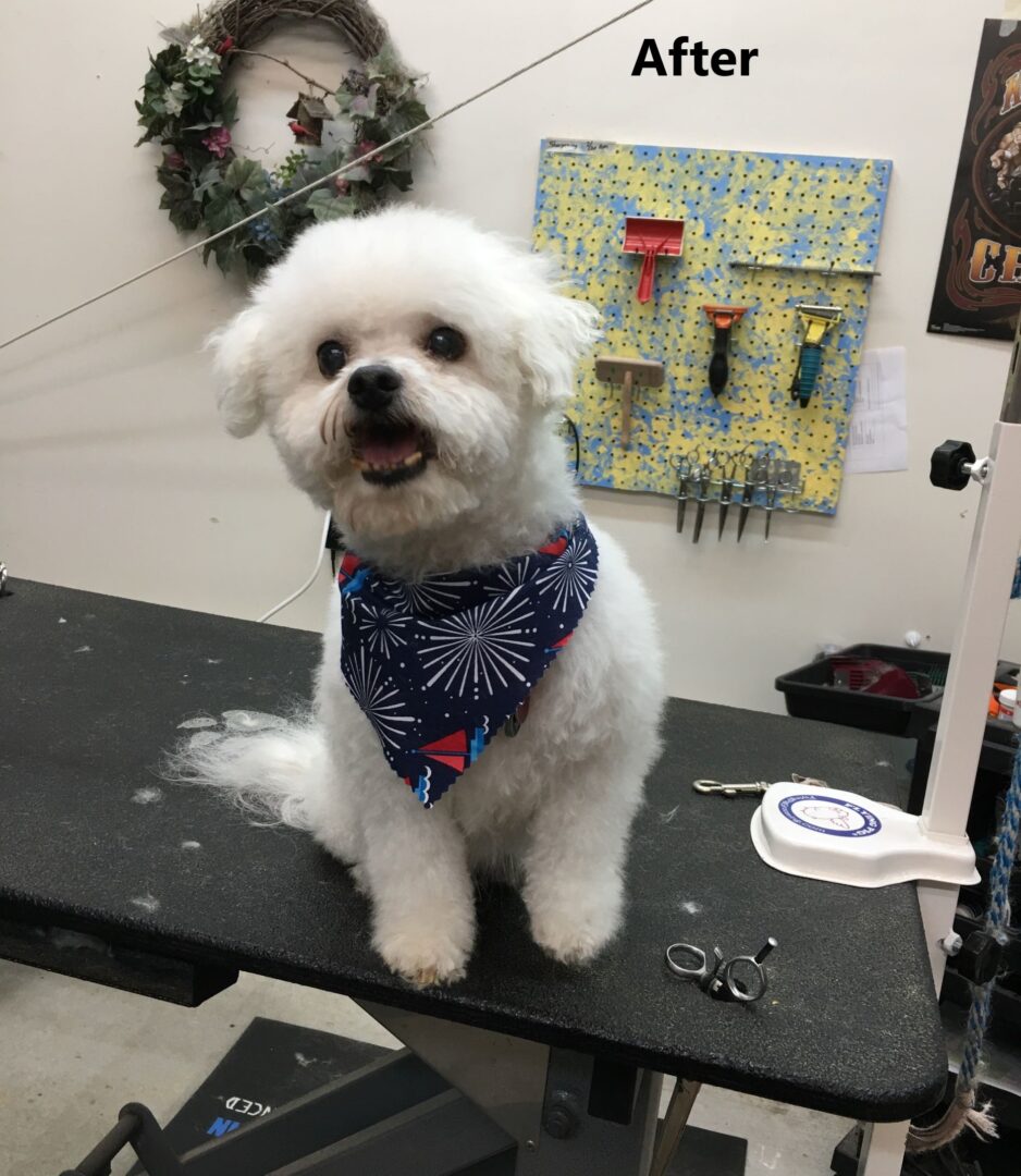 Custom and Certified